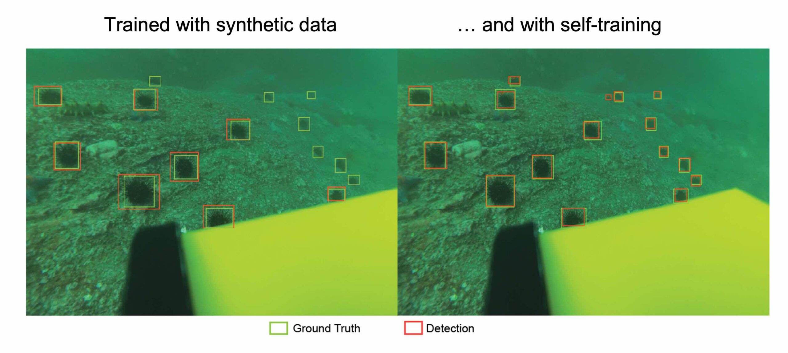 Seminar: Improving Classification and Detection of Benthic Morphospecies Using Unsupervised ...