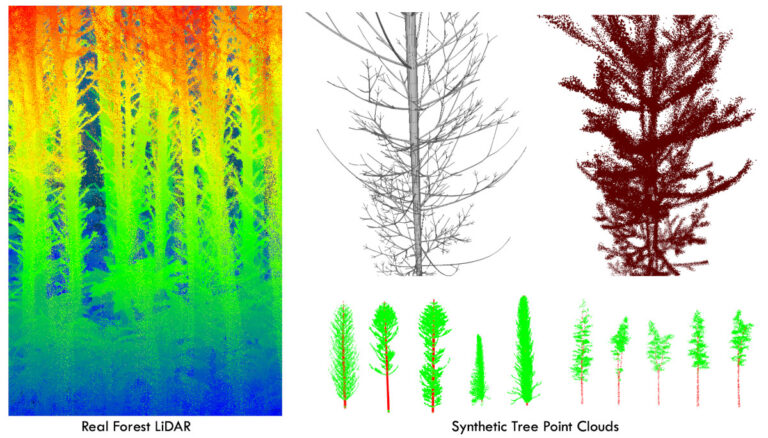 Seminar Using Synthetic Tree Data For Supervised Deep Learning From