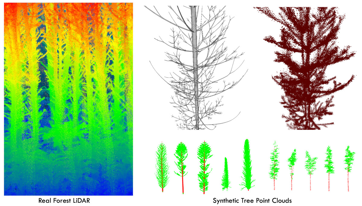 Seminar Using Synthetic Tree Data For Supervised Deep Learning From Forest Lidar Point Clouds