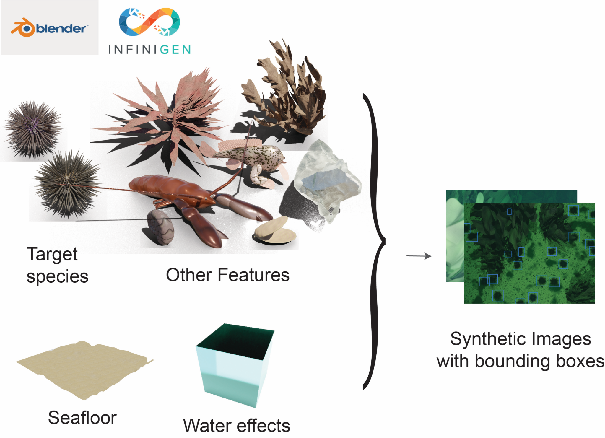 Seminar Using Synthetic Data And Domain Adaptation For Detecting Marine Species 21st Nov 1